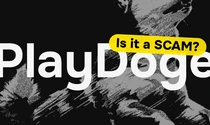 What Is PlayDoge and Is It a Scam? Reviews, Opinions, and DYOR